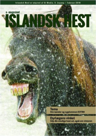 ISLANDSK HEST 2016 Arkiv - eMagasinet Islandsk Hest ISLANDSK HEST 2016 Arkiv - eMagasinet Islandsk Hest