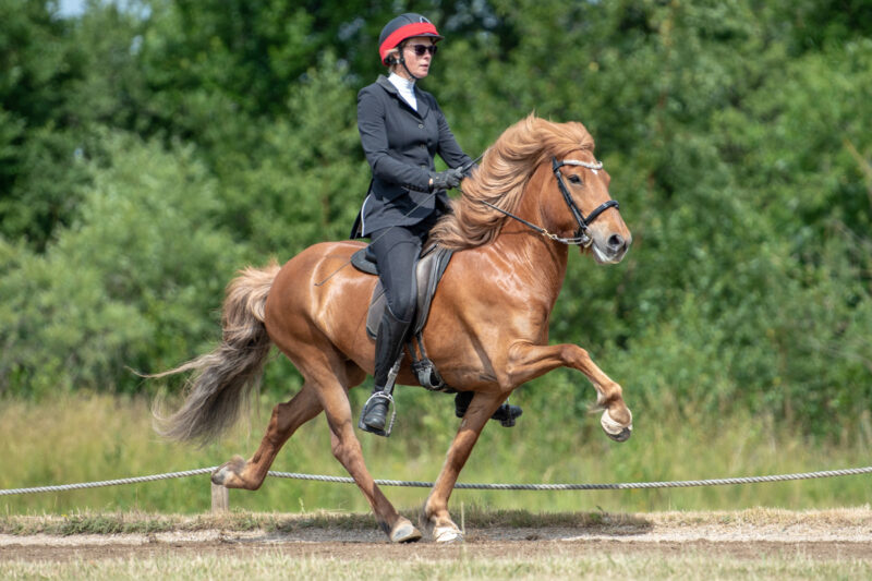 7 træningstip fra Anne Sofie Nielsen - eMagasinet Islandsk Hest