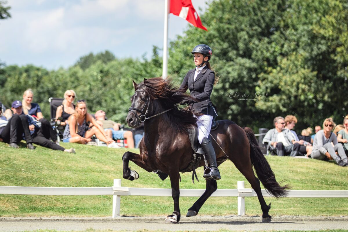 Det er tølt-turen i det blå jeg elsker - eMagasinet Islandsk Hest
