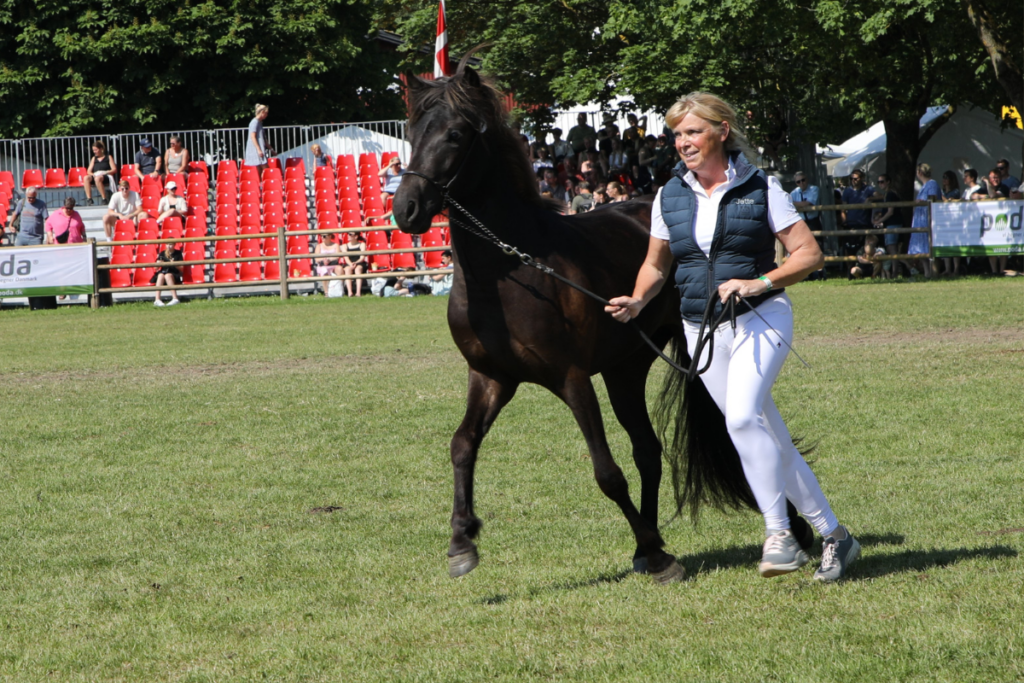 Flotte resultater på Roskilde Dyrskue - eMagasinet Islandsk Hest